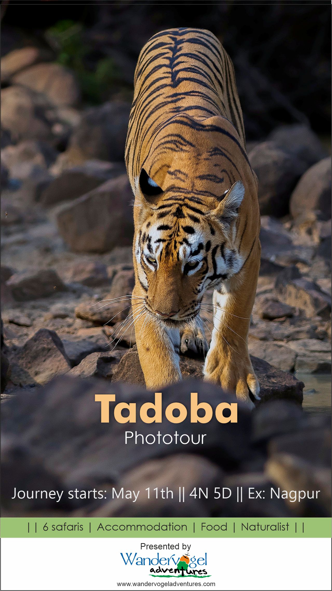 Tadoba National Park photo tour - Wandervogel Adventures