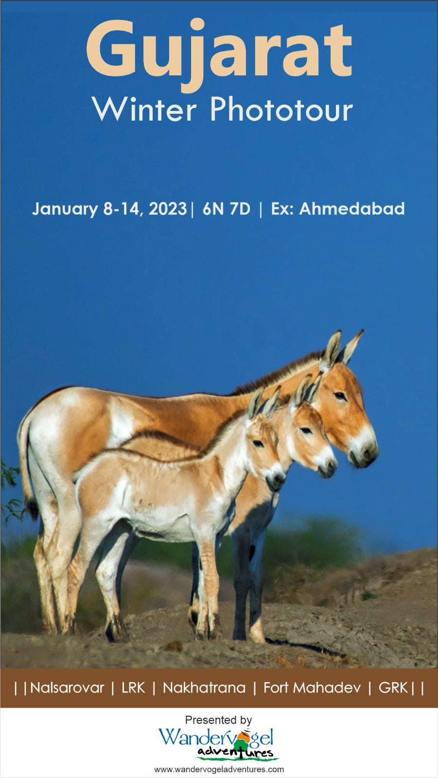 Gujrat - Winter Photo Tour - Wandervogel Adventures